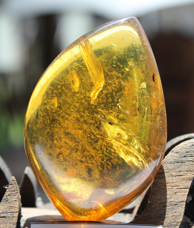 Rare Burmese Amber - Real Rare Antiques